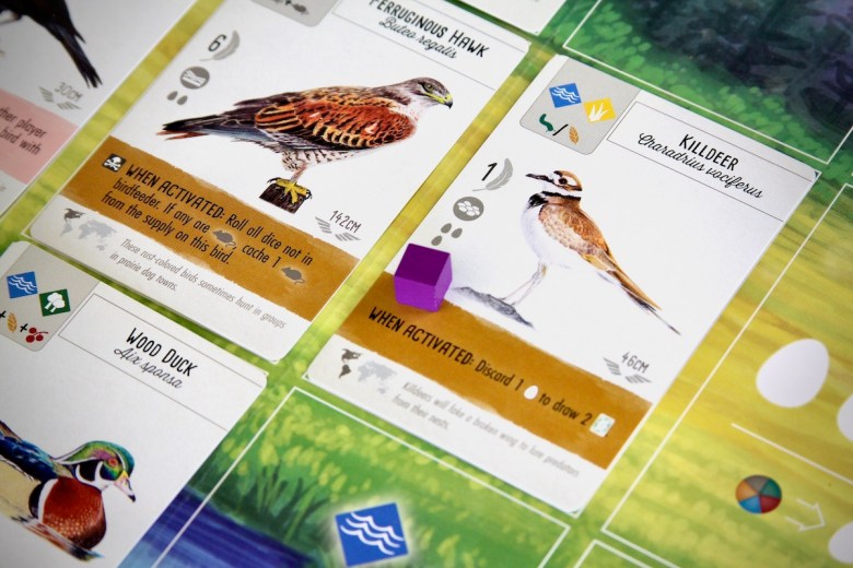 Wingspan – Board Game Review – Tabletop Mom